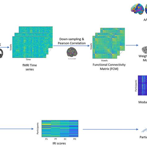 Schematic Representation Of The Exploratory Modularity Analysis