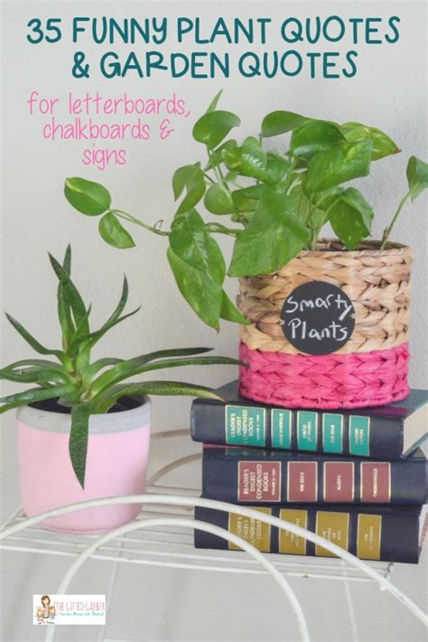 35 Funny Plant Quotes Funny Garden Quotes The Ted Gabber