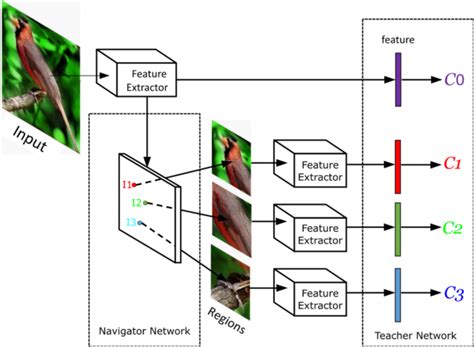 Fine Grained Image Classification Using Nts Net Binus University