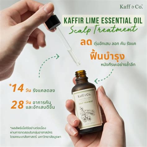 Kaff And Co ทรีทเม้นท์มะกรูด หนังศีรษะแห้ง คัน รังแคหรือ อาการอักเสบ ลด