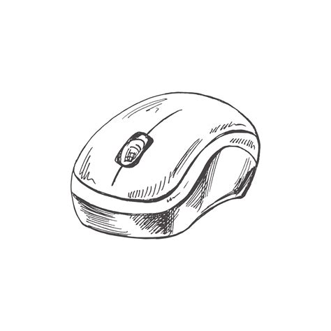 Vector Hand Drawn School And Office Supplies Illustration Detailed