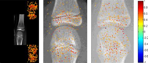 Illustration Of The Trained Classification Model Overlaid On An Example Download Scientific