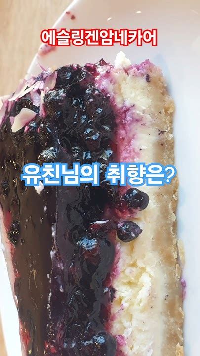 특파원수첩 에슬링겐 어느게 취향이 맞아요 빵집에서 치즈케익을 즐겨요 필수관광지 미리보기 Youtube