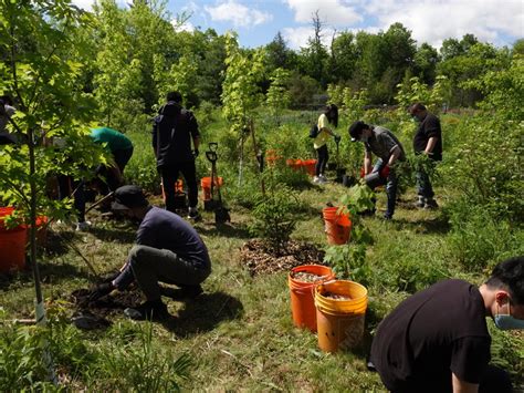 Tomorrow Starts Today Tree Planting Across U Hub