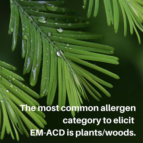 The Association Between Allergic Contact Dermatitis And Erythema