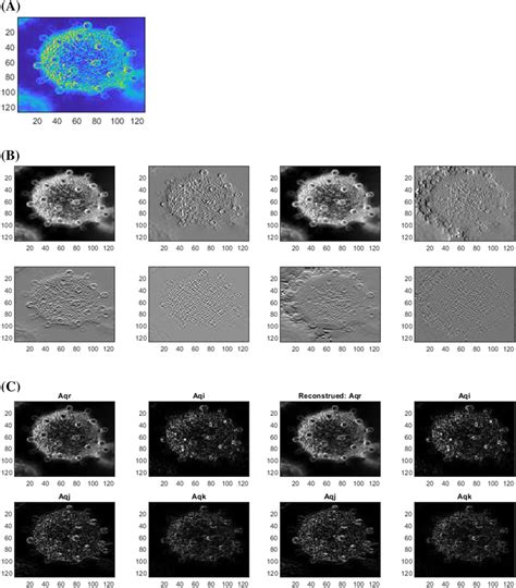 A Rgb Image B Quaternion Fast Fourier Transform Rijk And Its Download Scientific