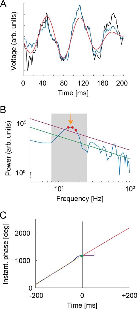 Illustration Of Signal Processing Oscillation Detection And Phase
