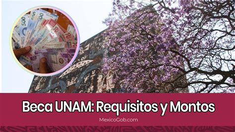 Beca Unam Así Puedes Solicitar El Apoyo Económico De Hasta 10 Mil