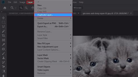 Hướng Dẫn Copy Layer Trong Photoshop Lấy Màu Và Lưu Màu đơn Giản