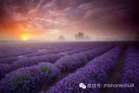 很多时候，我们是活给别人看的人生