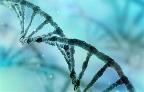 Copy Number Variation Cnv Analysis Ngs And Array Methods