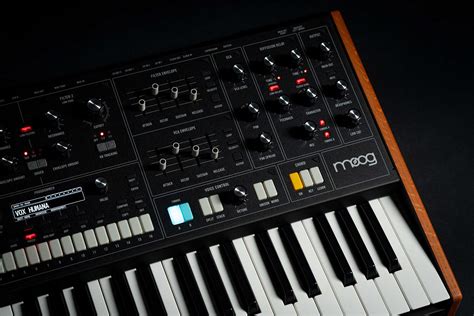 Muse Moog