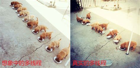 C11——c线程同步之互斥锁 冰糖葫芦很乖 博客园