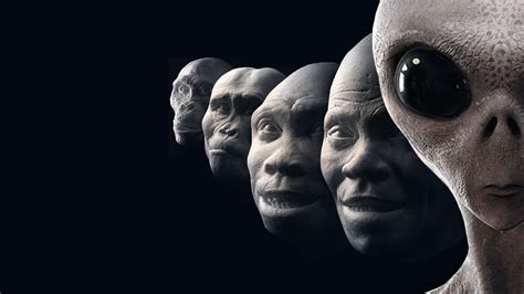 The Evolution Of Humans In The Future