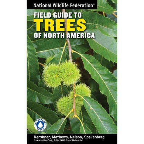 Outdoors Camping Travel All Outdoors Books Tree Identification Guides National