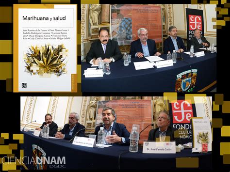La Marihuana Como Medicina Ciencia Unam