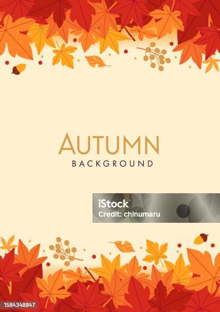 Background Material Designed With Autumn Leaves And Nuts向量圖形及更多有邊框的圖片