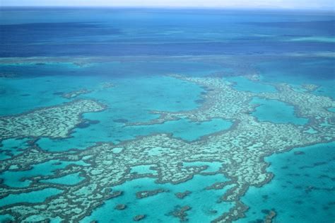 【世界の絶景】世界最大の珊瑚礁、グレート・バリア・リーフへ行ってみた ｜ ガジェット通信 Getnews