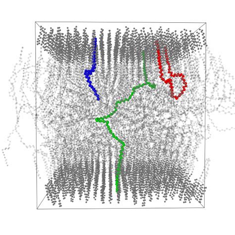 Advancing Molecular Scale Modeling A Novel Approach For Semicrystalline