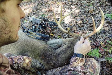 First Look At The New Artus From Average Jack Archery Facebook