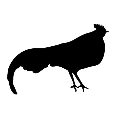 Premium Vector Chicken Rooster Vector File