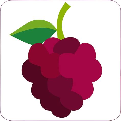 Premium Vector Raspberry Fruit Nature Minimalist Illustration Design