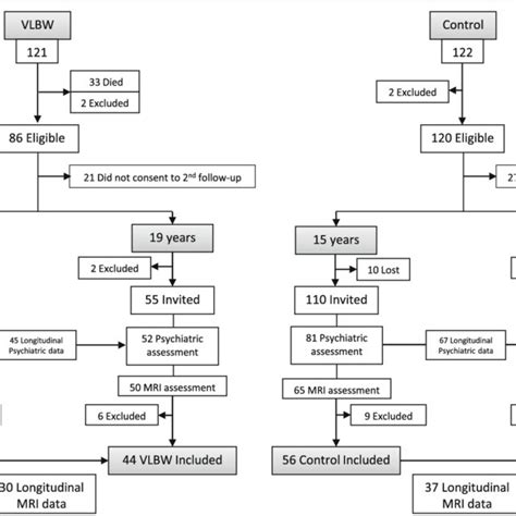 Chart Illustrating The Composition Of The Vlbw And Control Groups At