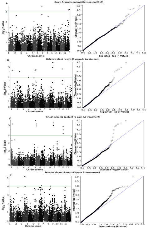 24 Genome Wide Association Mapping Result Download Scientific Diagram