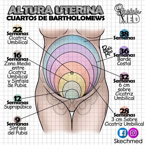 Altura Uterina Paola R Os Dr Vago Stektchmed Facebook E Instagram