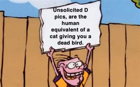 Unsolicited D Pics Are The Human Equivalent Of A Cat Giving You Dead