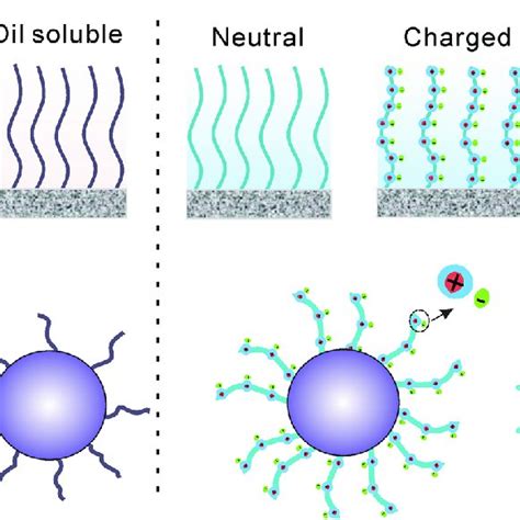 Surface Grafting Of Hydrophilic Polymer Brushes Reduces The Interface