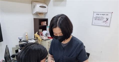 강서구 우리동네 동물병원서 반려동물 건강 챙기세요
