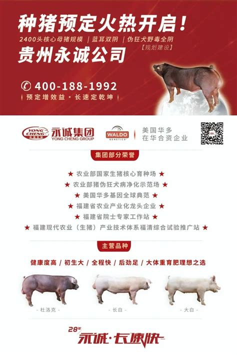 福建永诚育种科技集团有限公司 中国贵阳第三届生态畜牧业博览会圆满落幕期待我们明年再会