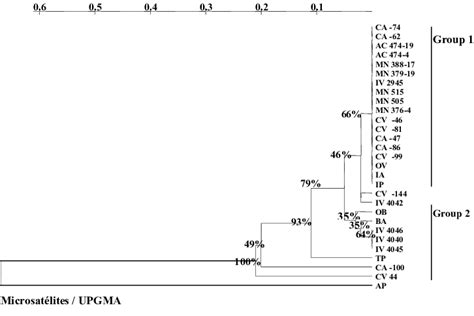Dendrogram Of Coffea Cultivars Based On Genetic Distance Obtained From