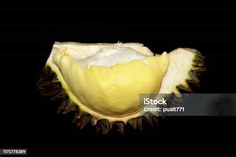 두리안 껍질을 벗기거나 두리안은 검은 배경에 고립 된 과일의 왕입니다 건강한 생활방식에 대한 스톡 사진 및 기타 이미지