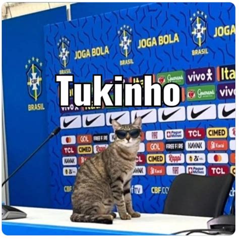 Mundial Qatar 2022 La Maldición Del Gato Para Brasil