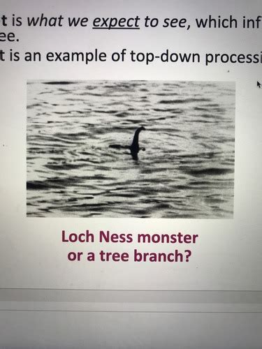 Sex Gender Identity Flashcards Quizlet