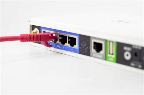 Lan Port On Router Stock Photo Image Of Office Cable
