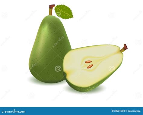 Pear Stock Vector Illustration Of Juice Mesh Aroma 32221900