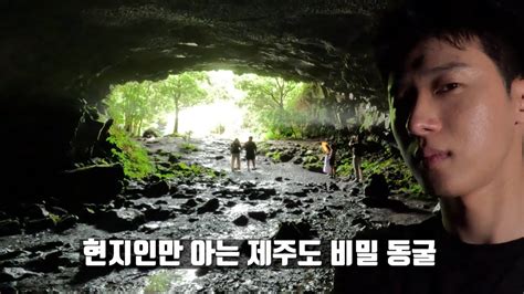 제주도 비밀 동굴에서 멸종위기 황금 박쥐를 찾다 Feat 제주 녹차동굴 Youtube
