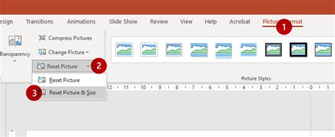 PowerPoint Reset Picture Size Knockout Prezo