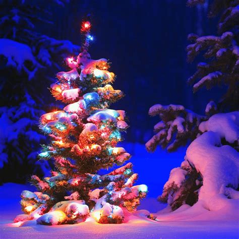 Smith Mountain Lake Va Events Guide Sml Calendar Of Events