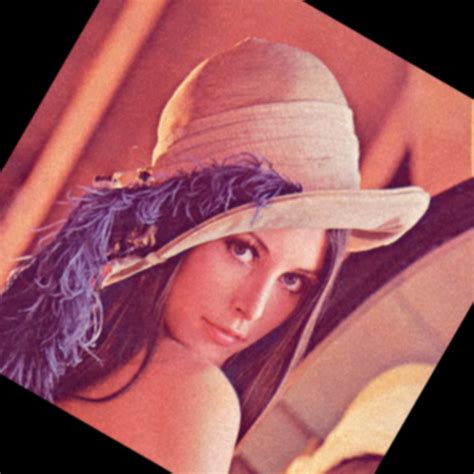 Github Piercus Image Augment Image Augmentation Library For Machine Learning In Javascript