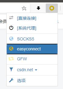 Easyconnect Vmware Ccproxy Easyconnect Csdn