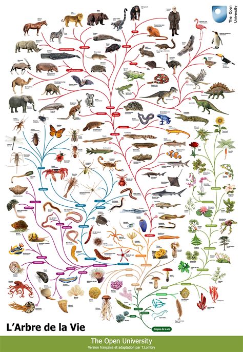 Classification Par Groupes Emboîtés