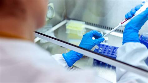 Cómo Ser Madre Soltera Por Inseminación Artificial Proceso Requisitos