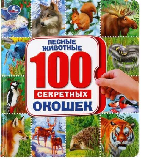 Лесные животные. 100 секретных окошек