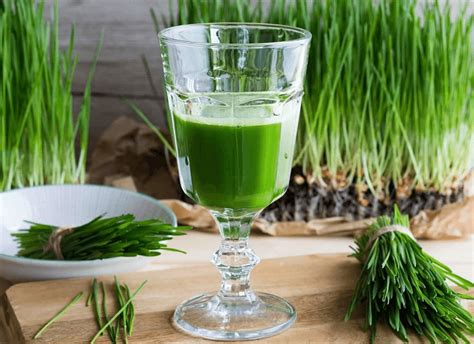 13 Amazing Benefits Of Wheatgrass For Vibrant Health