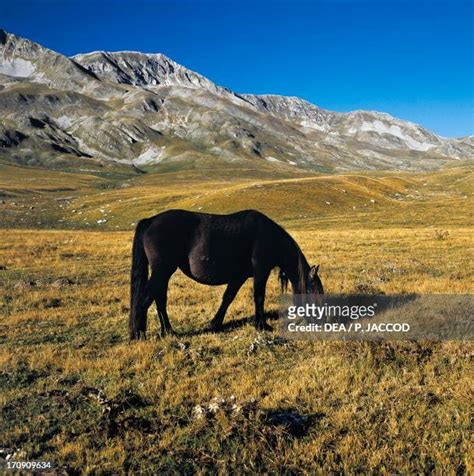 Gran Sasso E Monti Della Laga National Park Photos And Premium High Res