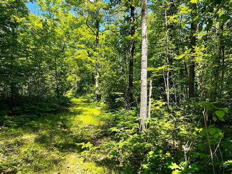 Xxx Trillium Dr Hackensack Mn 56452 Mls 6398295 Zillow